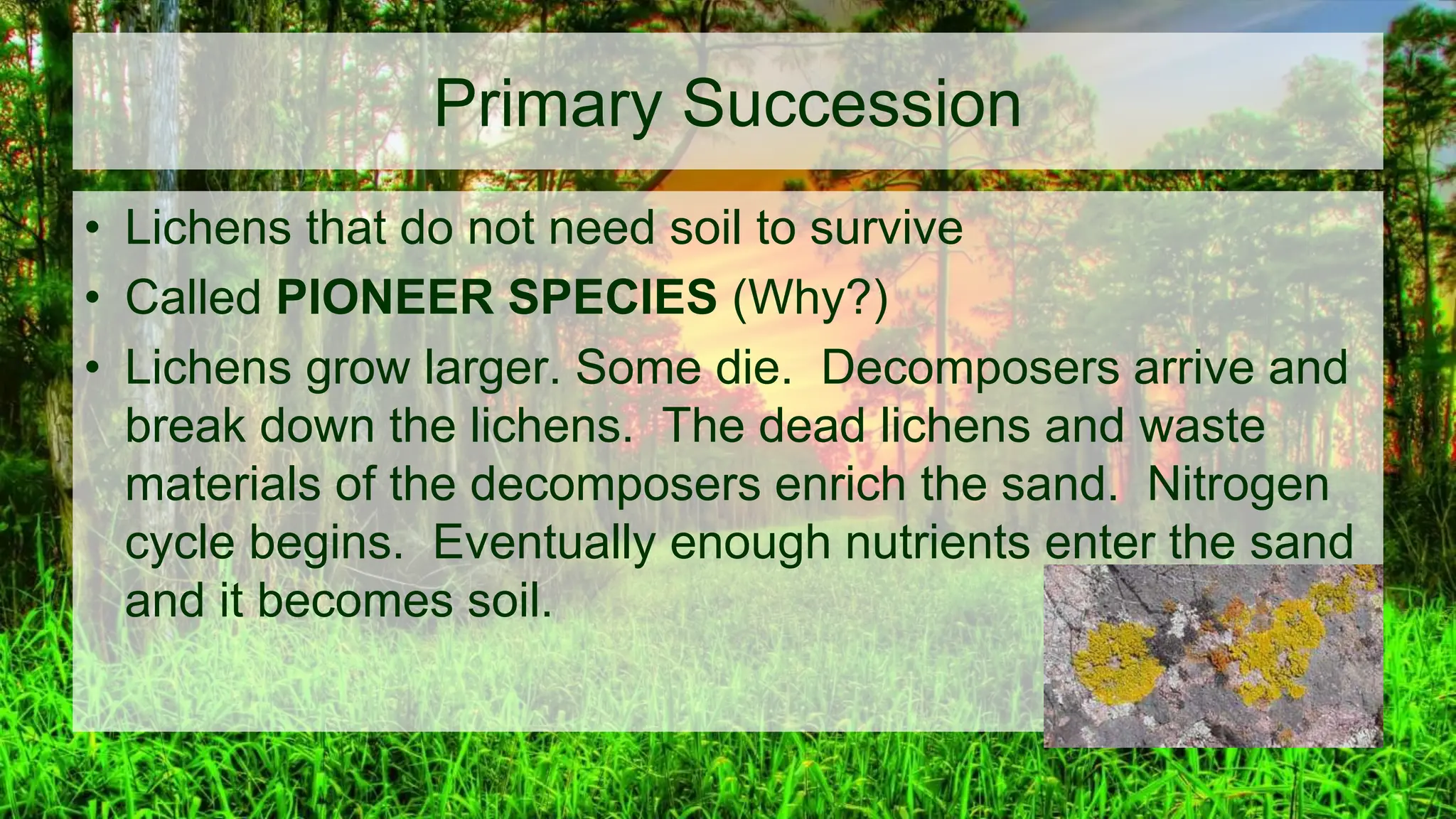 Ecological-Succession_and_Climax-Communities-12.pptx