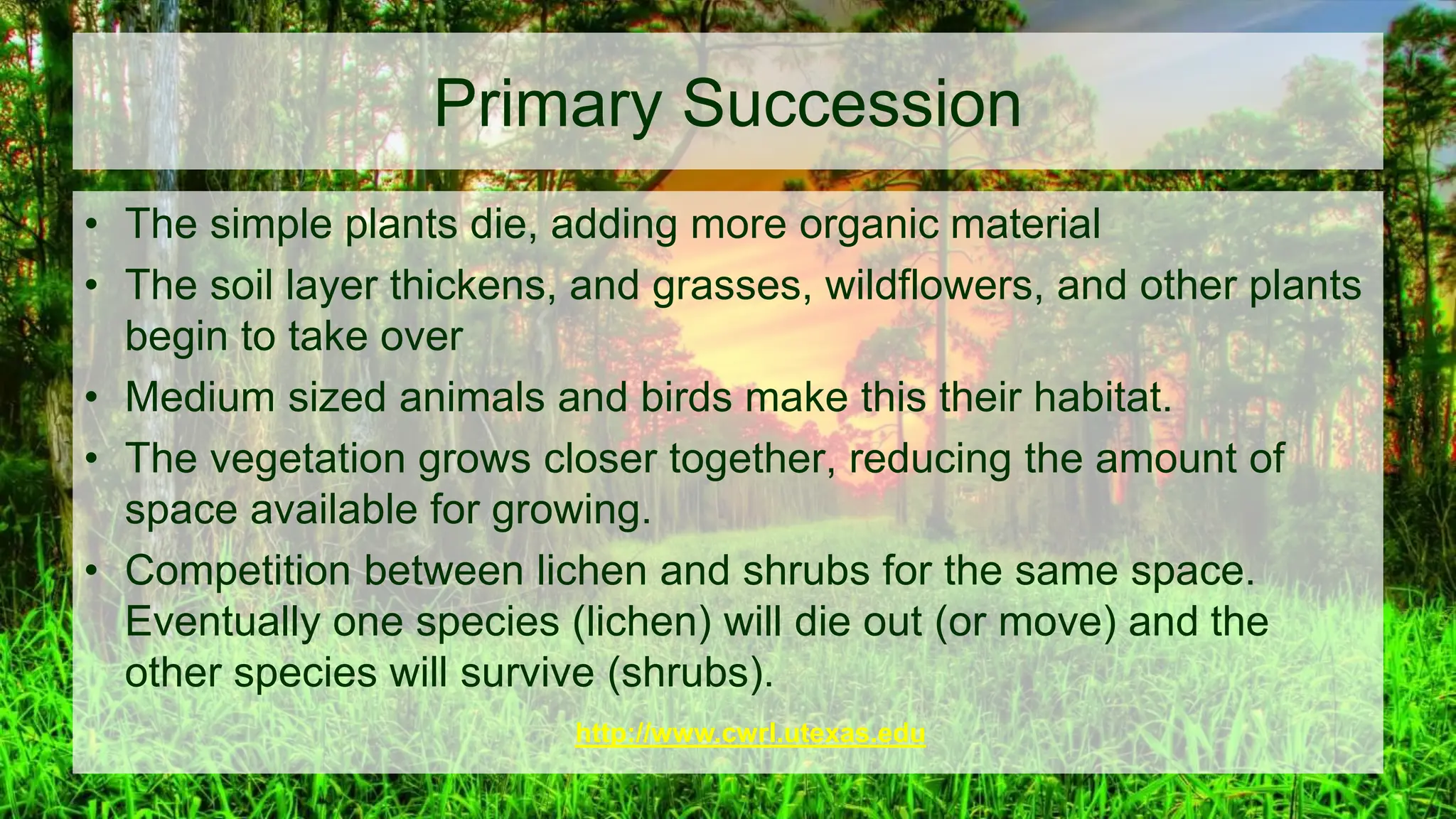 Ecological-Succession_and_Climax-Communities-12.pptx