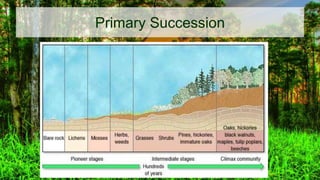 Ecological-Succession_and_Climax-Communities-12.pptx