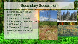 Ecological-Succession_and_Climax-Communities-12.pptx