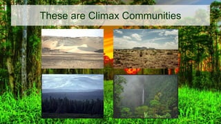 Ecological-Succession_and_Climax-Communities-12.pptx