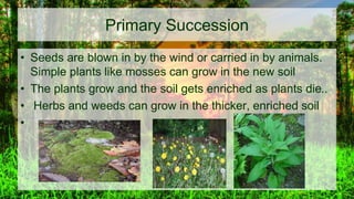 Ecological-Succession_and_Climax-Communities-12.pptx