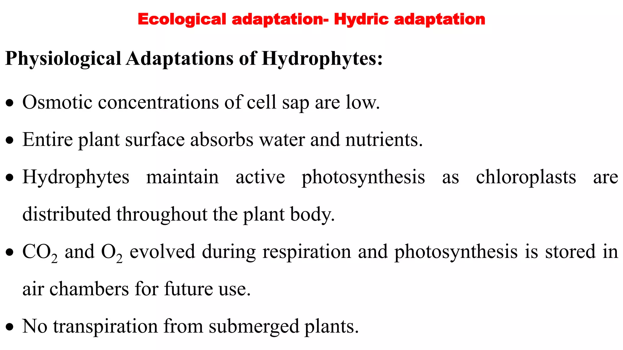 Ecological Adaptation ppt.pptx