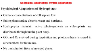 Ecological Adaptation ppt.pptx