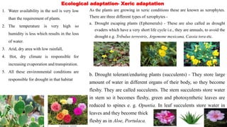 Ecological Adaptation ppt.pptx