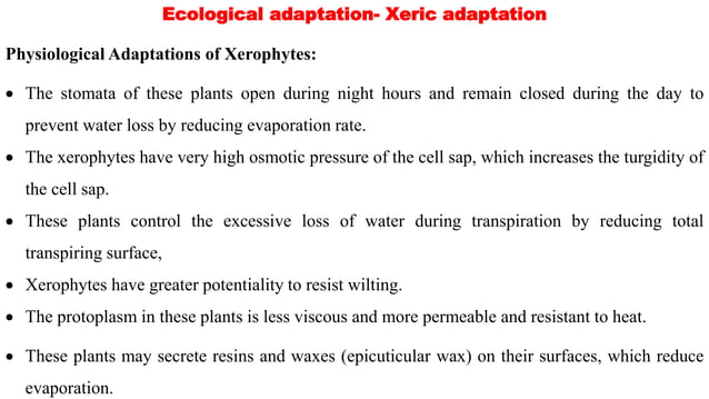 Ecological Adaptation ppt.pptx