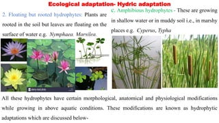 Ecological Adaptation ppt.pptx