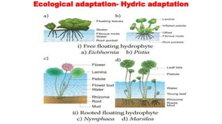 Ecological Adaptation ppt.pptx