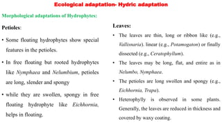 Ecological Adaptation ppt.pptx
