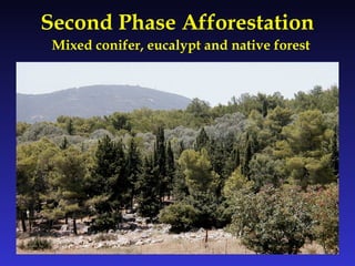 Ecological Afforestation in Israel | PPT