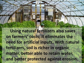 Ecological agriculture | PPTX