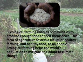 Ecological agriculture | PPTX