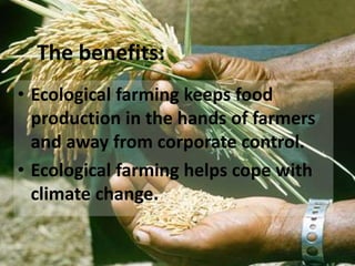 Ecological agriculture | PPTX