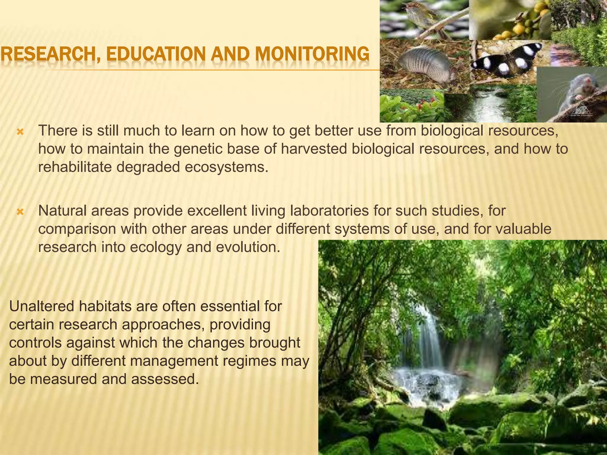 Ecological and economical importance of biodiversity | PPTX