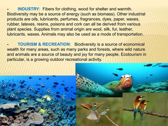 Ecological and economical importance of biodiversity | PPTX ...