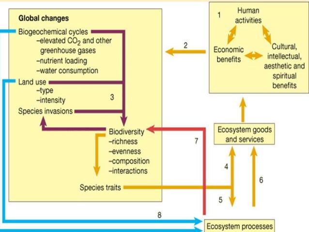 Ecological and economical importance of biodiversity | PPTX ...