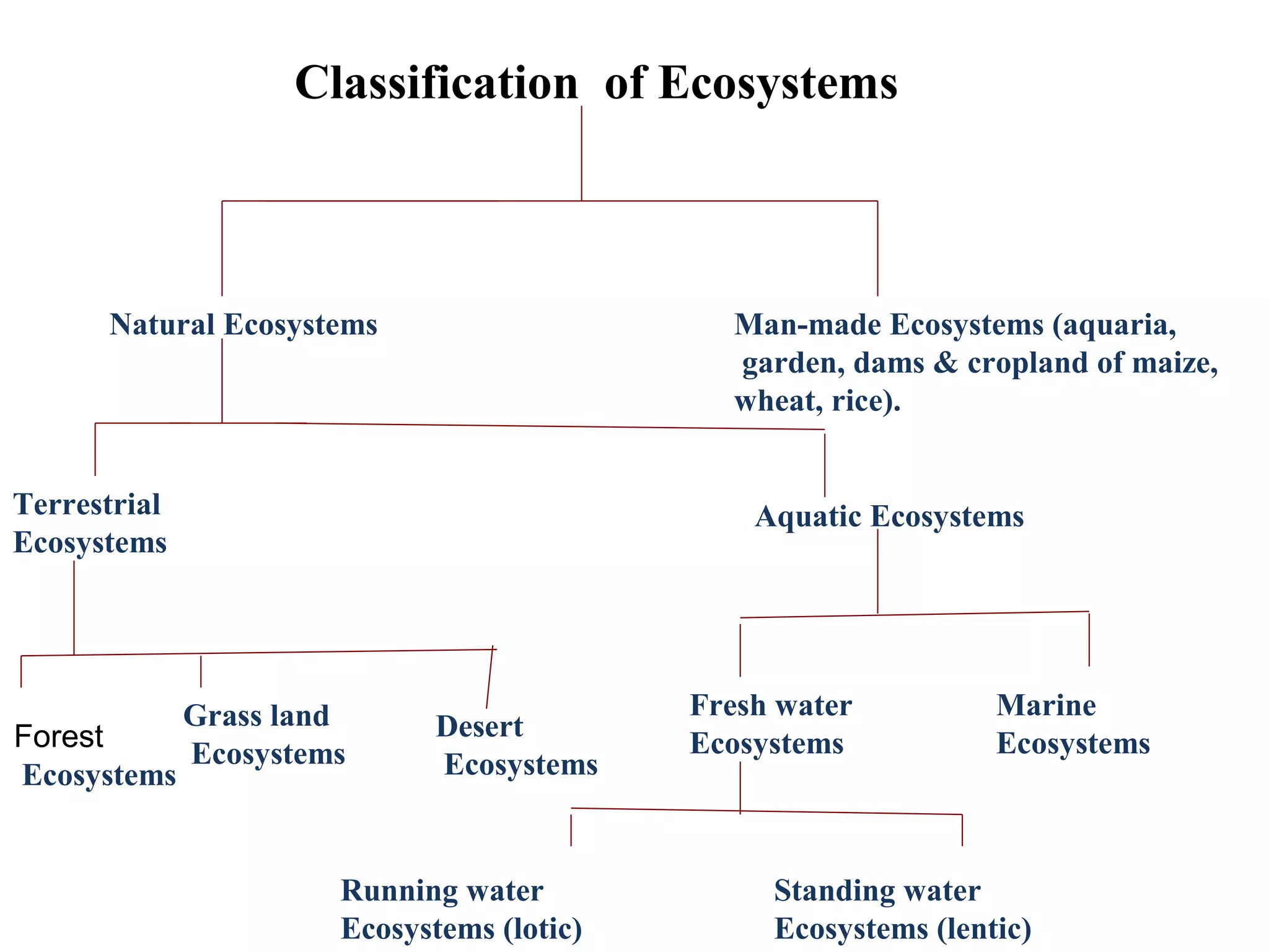 Ecological and ecosystem | PPT