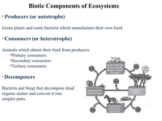 Ecological and ecosystem | PPT