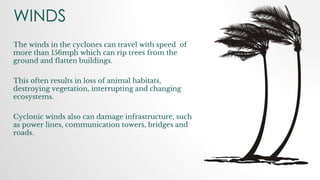 Ecological and Environmental Impacts of Cyclones.pdf
