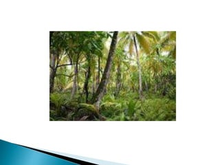 Ecological Characteristics of Plant Community.pptx