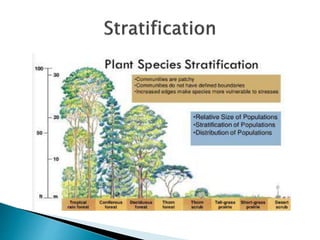 Ecological Characteristics of Plant Community.pptx