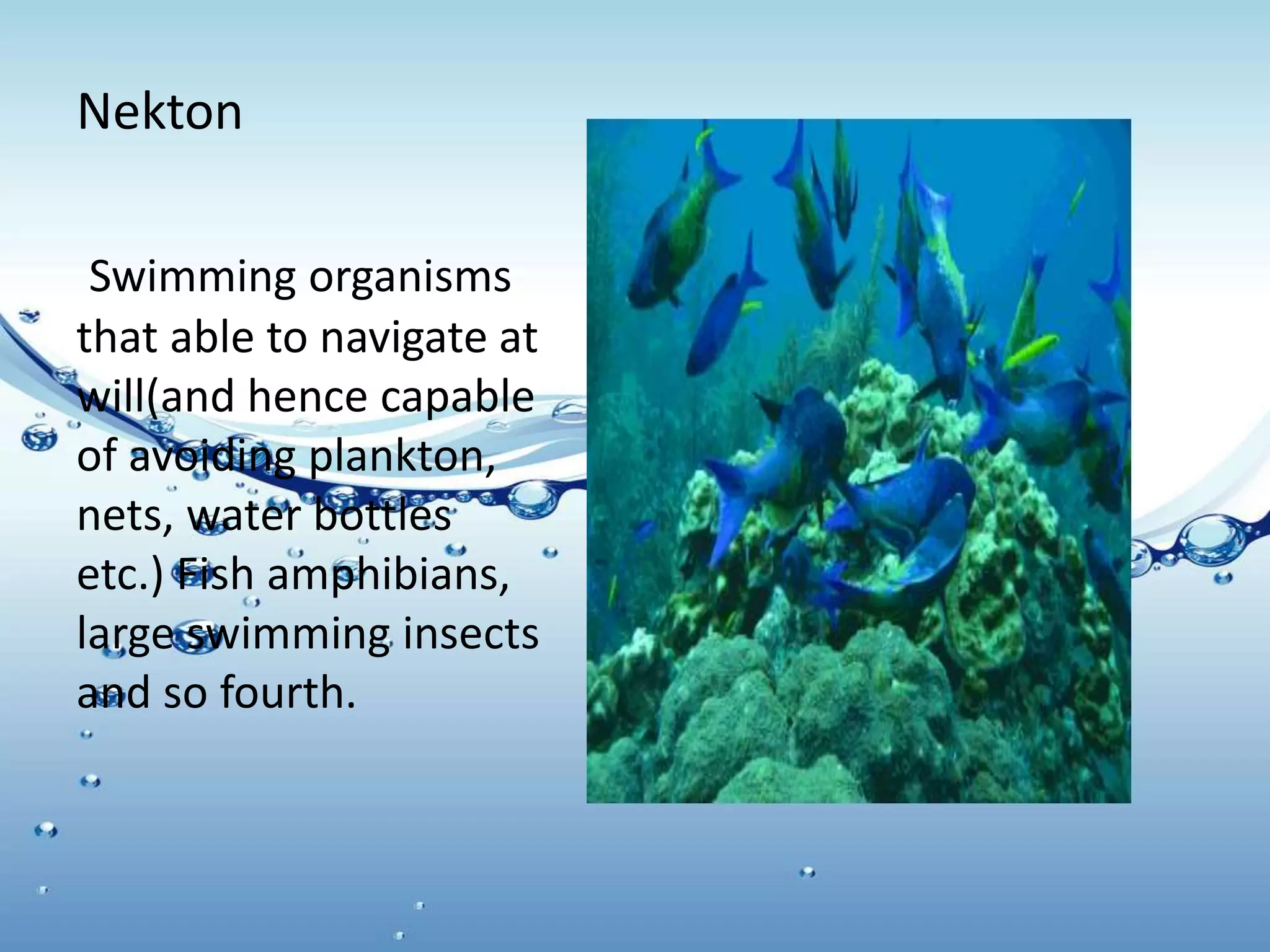 Ecological classification of fresh water | PPTX