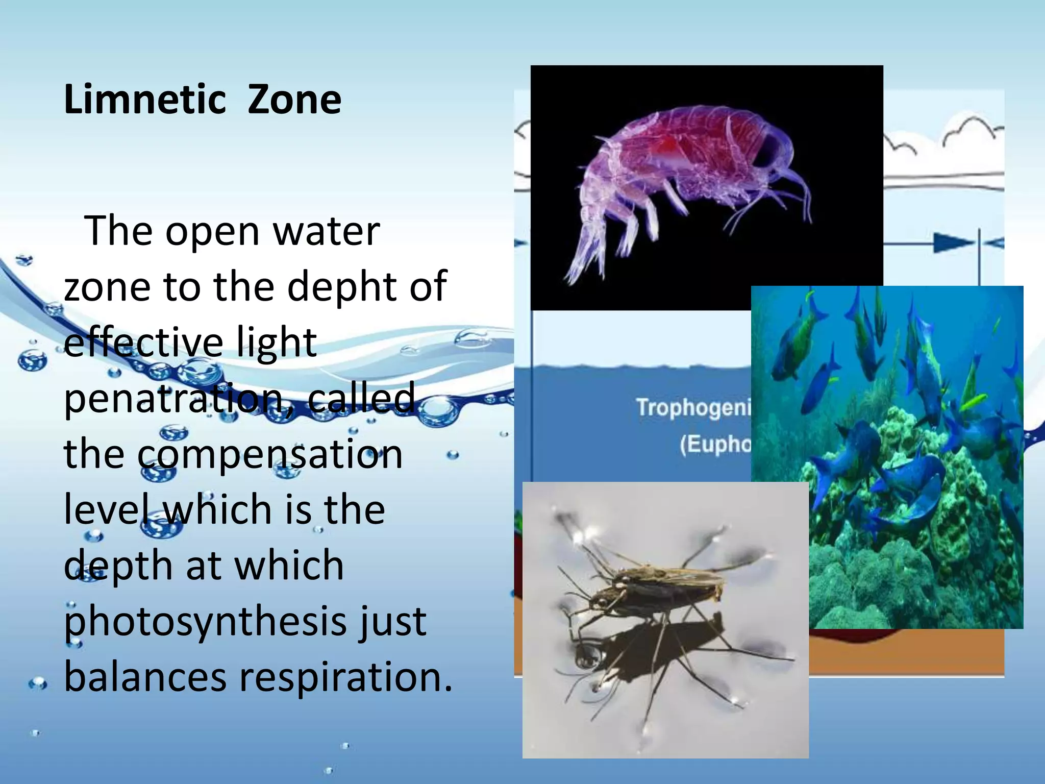 Ecological classification of fresh water | PPTX