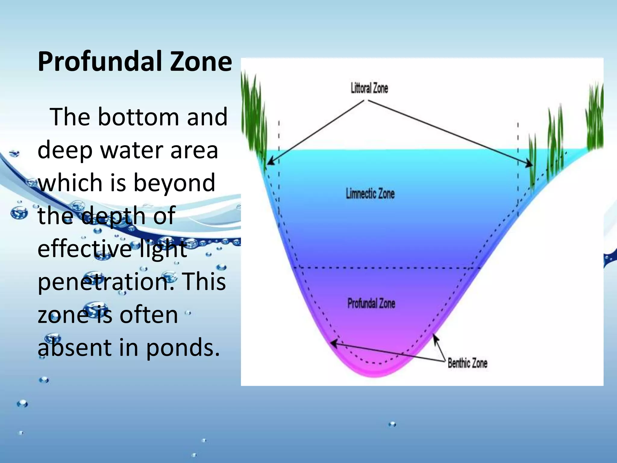 Ecological classification of fresh water | PPTX