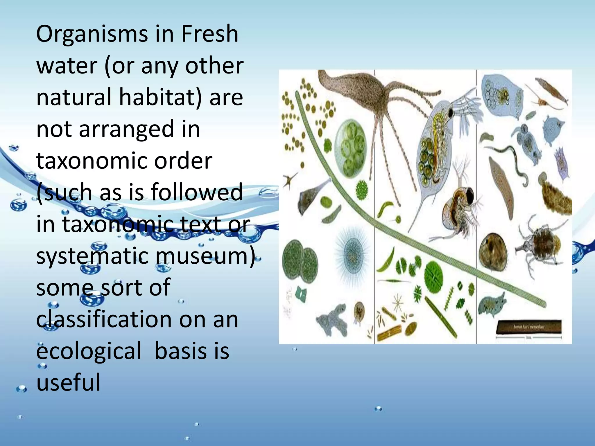 Ecological classification of fresh water | PPT