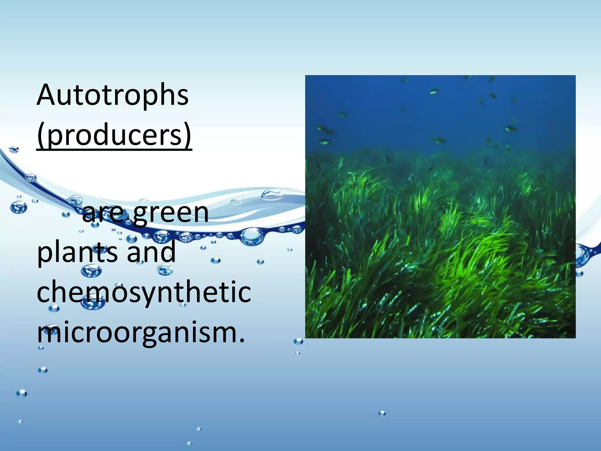 Ecological classification of fresh water | PPTX
