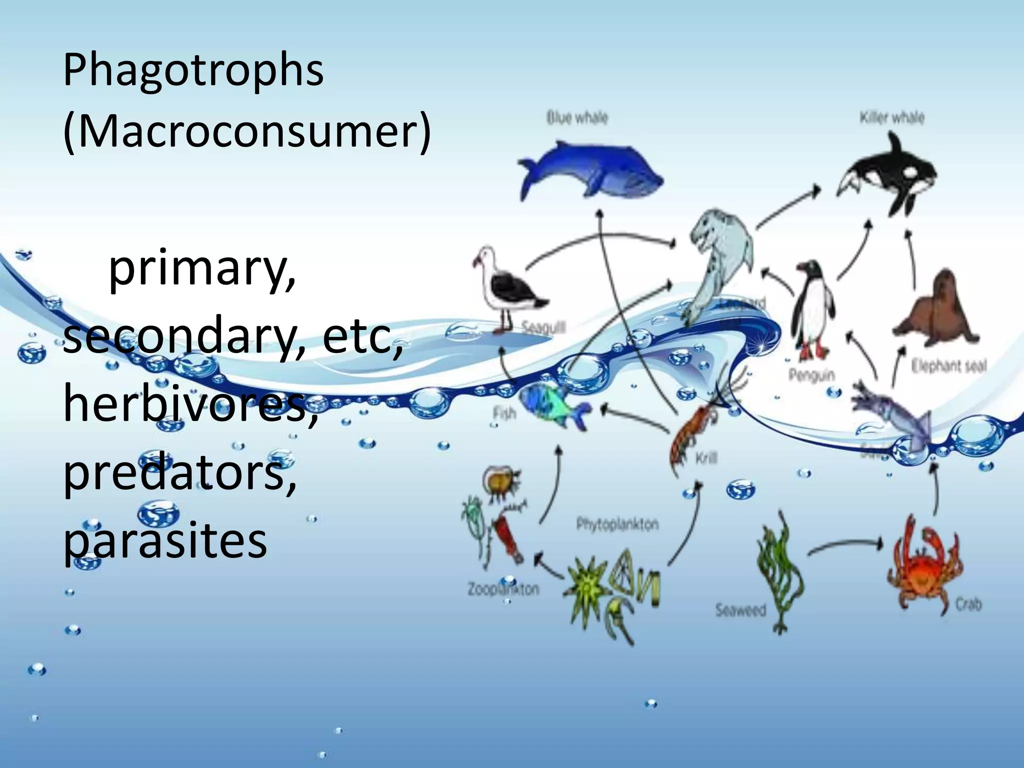 Ecological classification of fresh water | PPTX