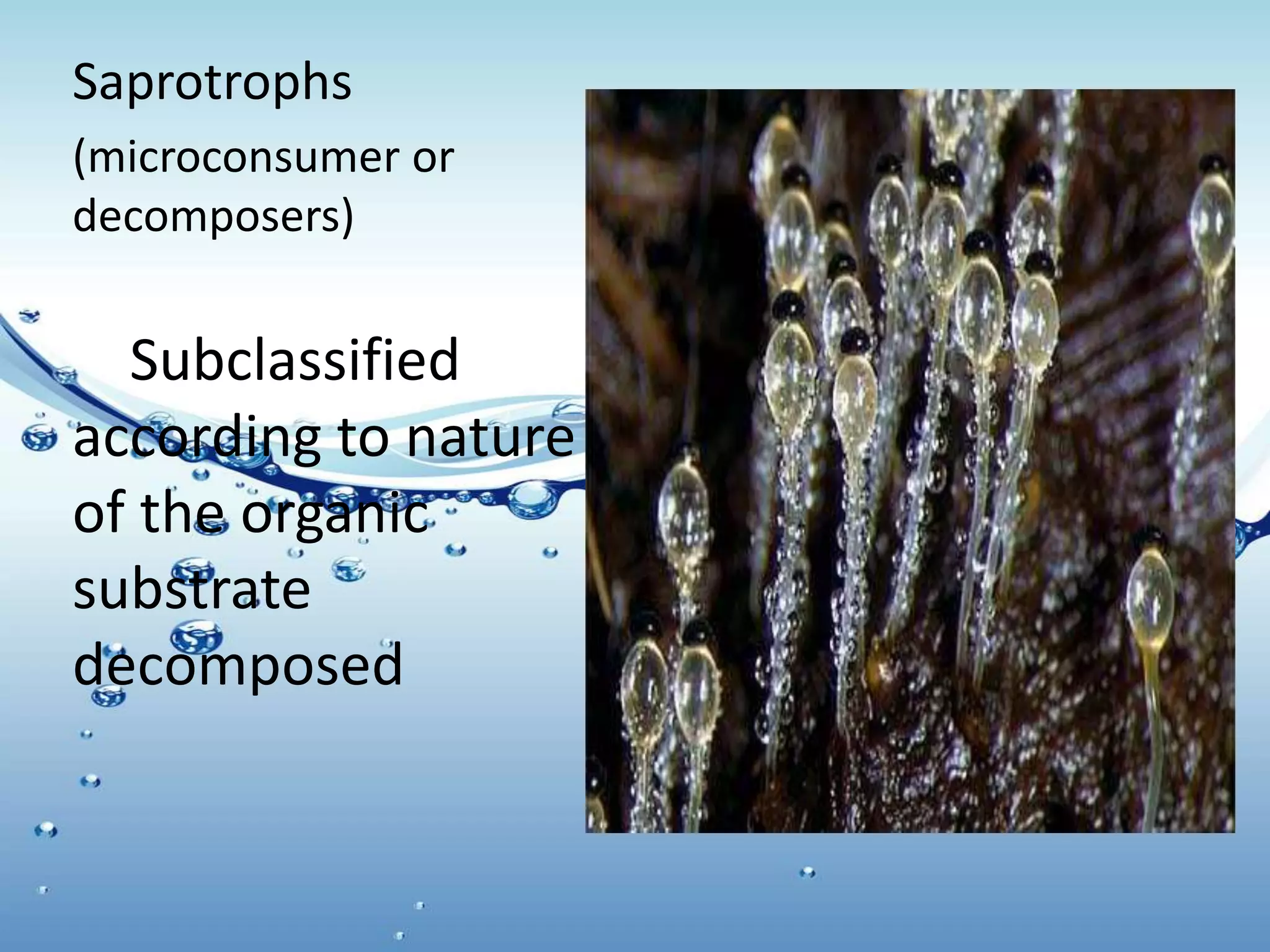 Ecological classification of fresh water | PPTX