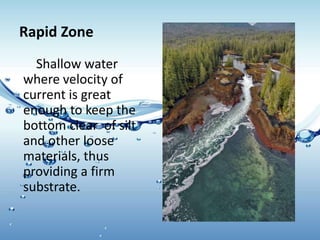 Ecological classification of fresh water | PPTX