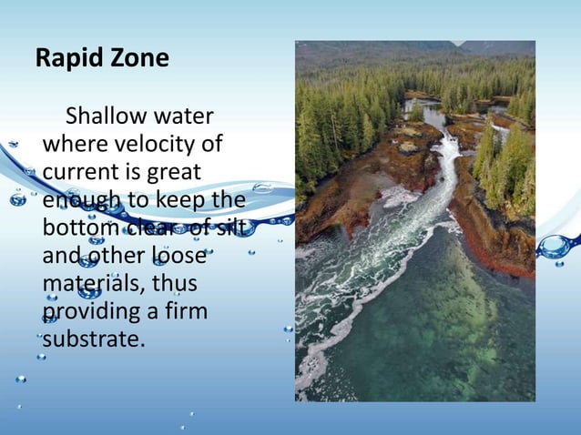 Ecological classification of fresh water | PPTX
