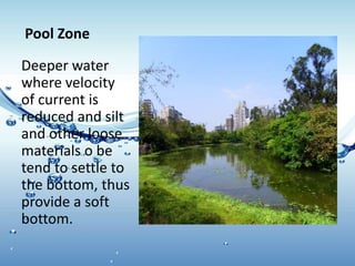 Ecological classification of fresh water | PPTX