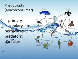 Ecological classification of fresh water | PPTX