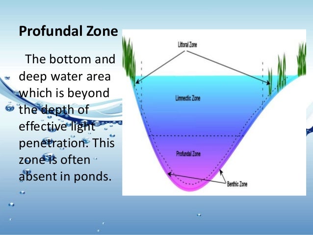 Ecological classification of fresh water