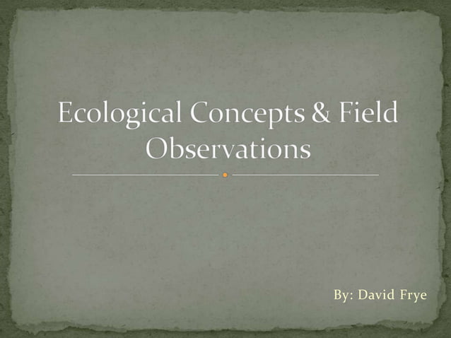 Ecological concepts | PPT