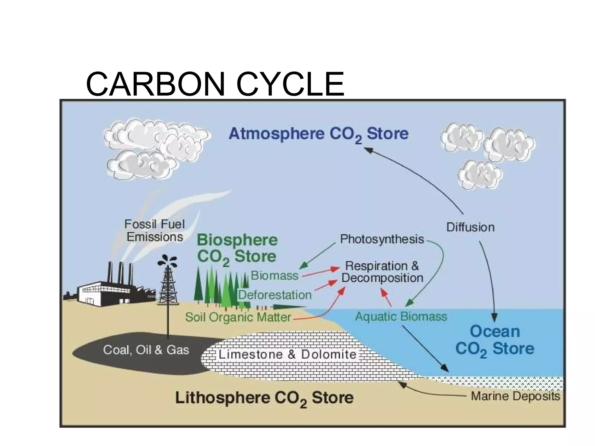 ecologicalcycles-100719101152-phpapp01.pdf