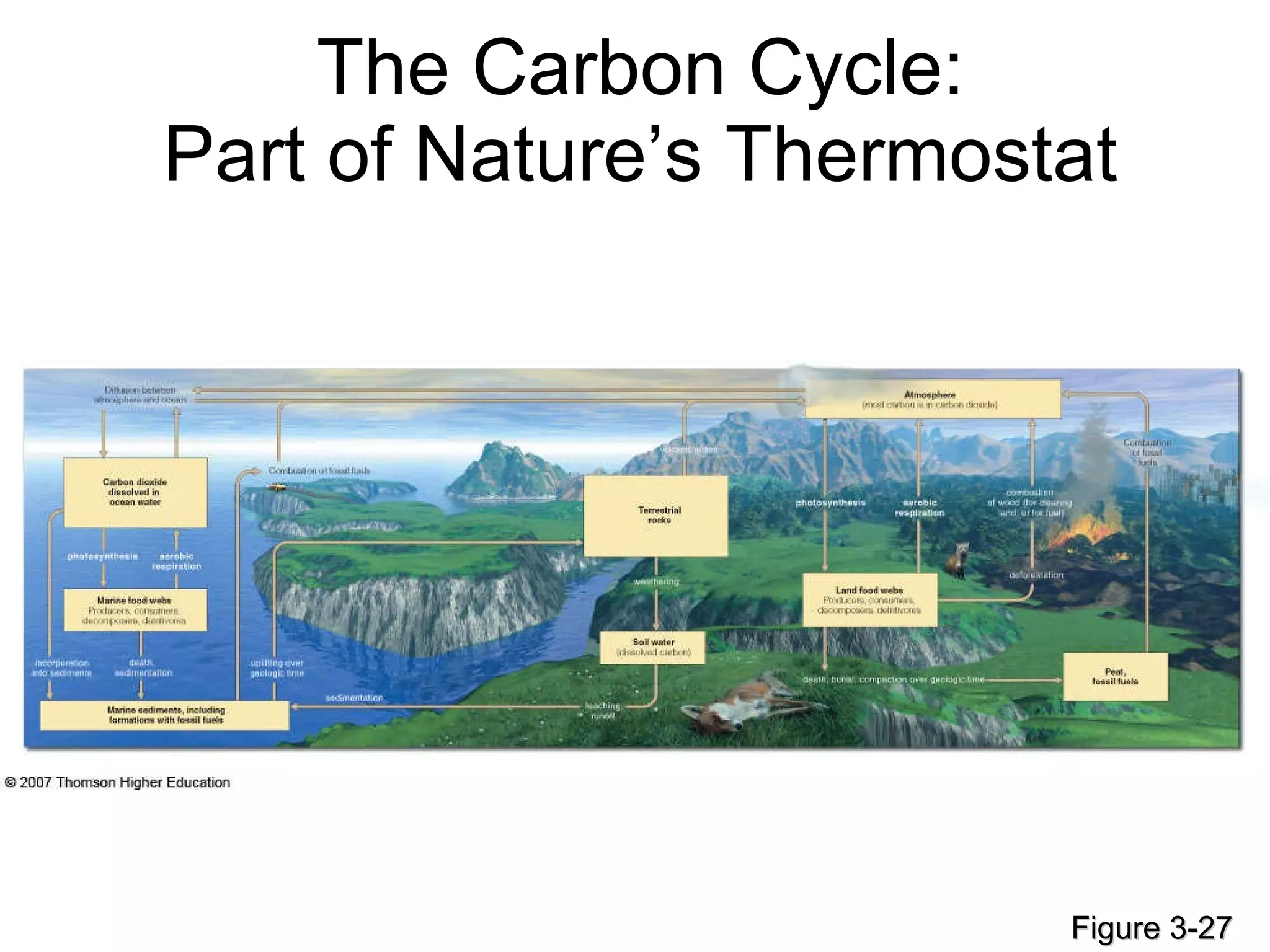 Ecological cycles | PPT