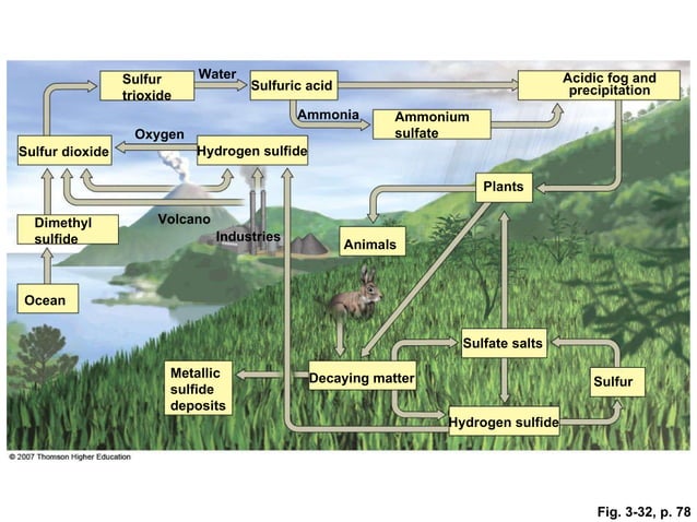 Ecological cycles | PPT | Chemistry | Science