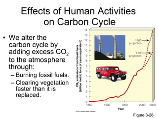 Ecological cycles | PPT