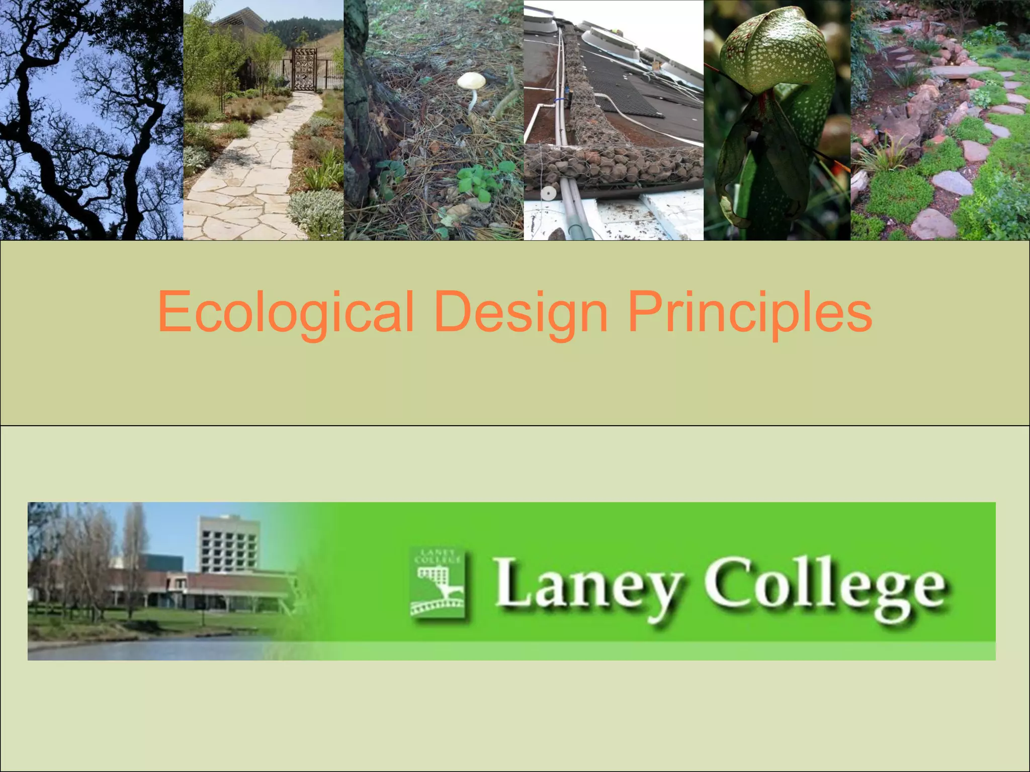 Ecological design principles | PDF