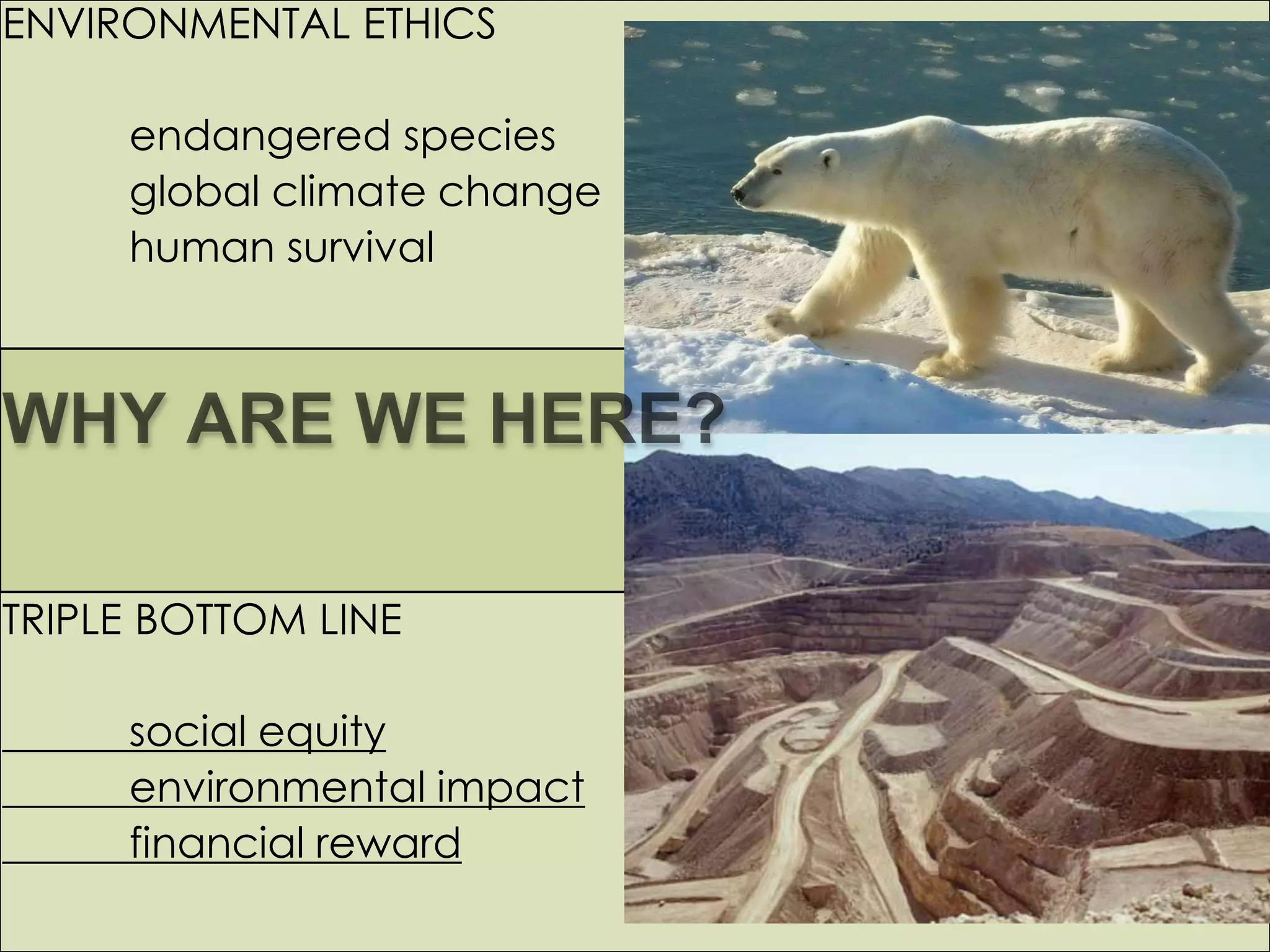 Ecological design principles | PDF