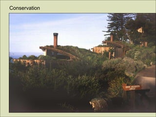 Ecological design principles | PDF