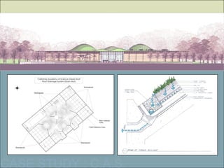 Ecological design principles | PDF