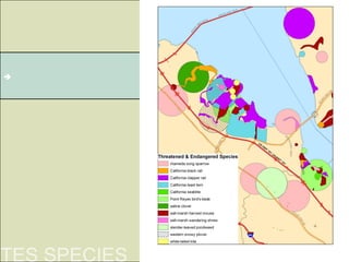 Ecological design principles | PDF