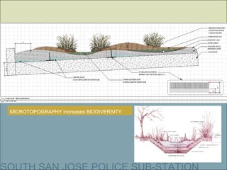 Ecological design principles | PDF