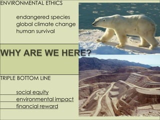 Ecological design principles | PDF