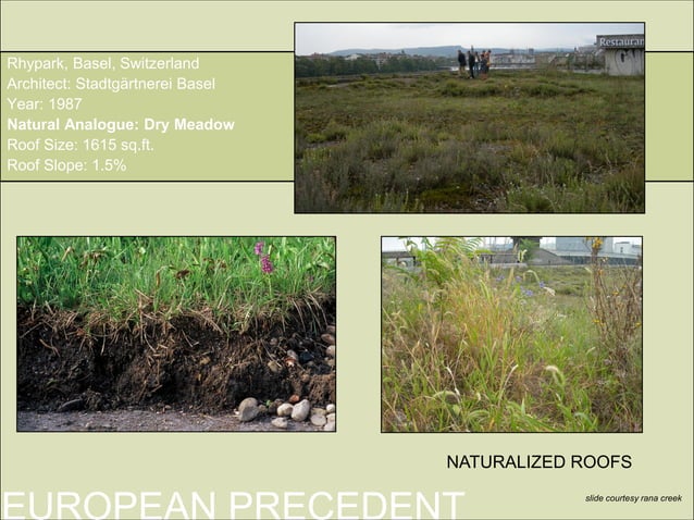 Ecological design principles | PPT